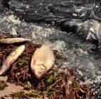 NOSDRA - National Oil Spill Detection and Response Agency